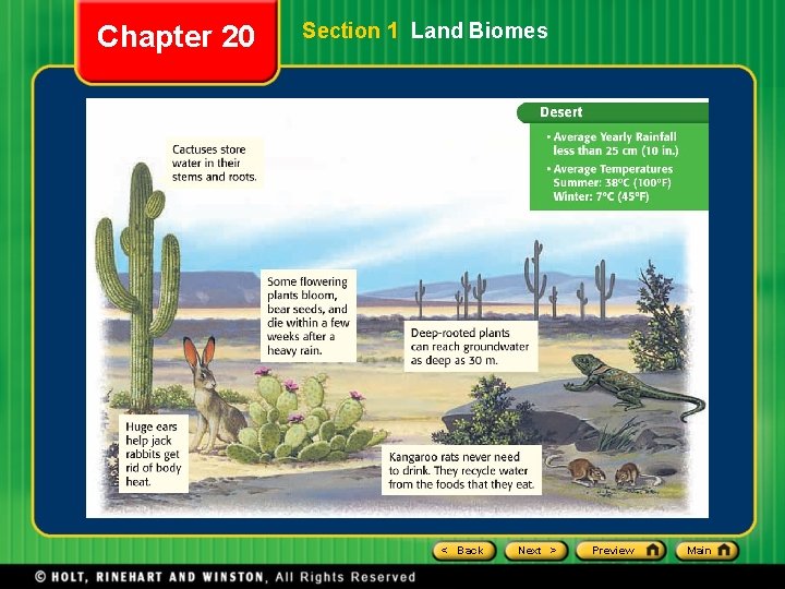 Chapter 20 The Earths Ecosystems Preview Section 1