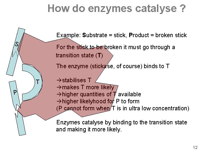 Principles of Bioenergetics and Catalysis Kinetics Substrate diffusion