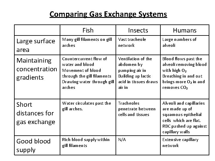 The mechanisms of ventilation and gas exchange in
