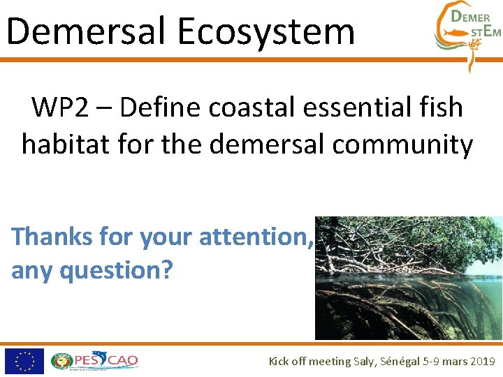 Demersal Ecosystem WP 2 Define coastal essential fish