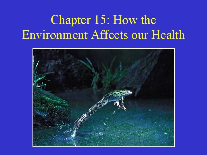 Chapter 15 How the Environment Affects our Health