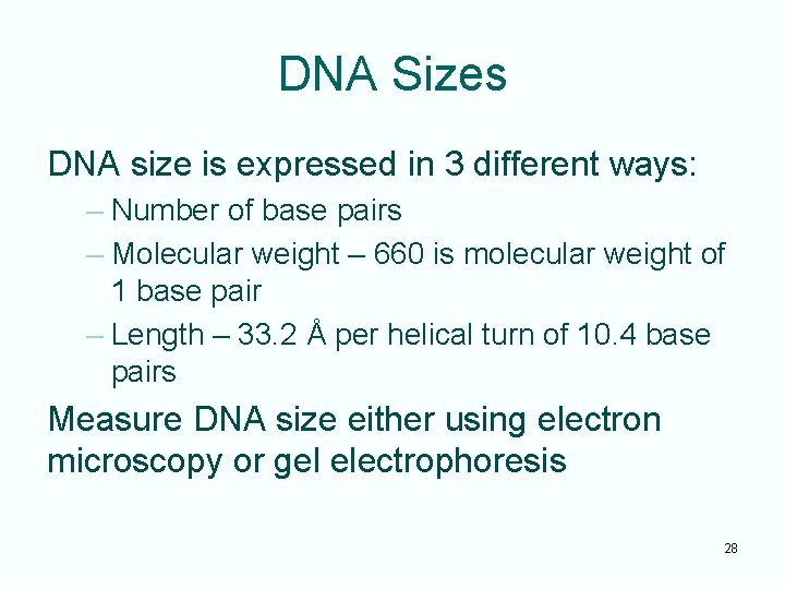 Lecture Power Point to accompany Molecular Biology Fourth