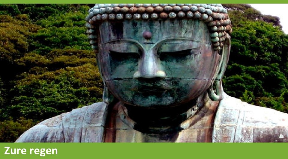 Zure regen Zure regen Introductie Werkboek en fotos