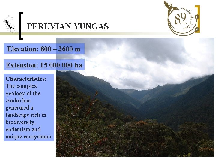 DISTRIBUTION OF ENDEMIC MAMMALS IN THE PERUVIAN YUNGAS
