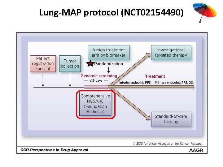 Precision medicinebased clinical trials Clara Natoli Drug discovery