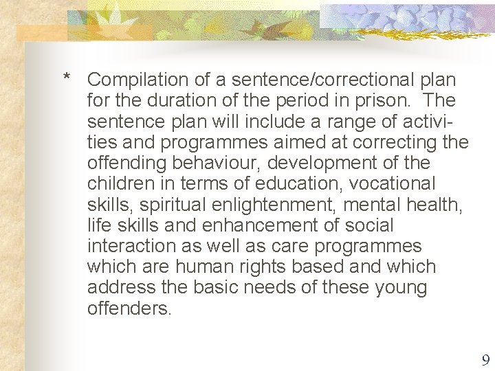 CHILD JUSTICE BILL Department of Correctional Services 1