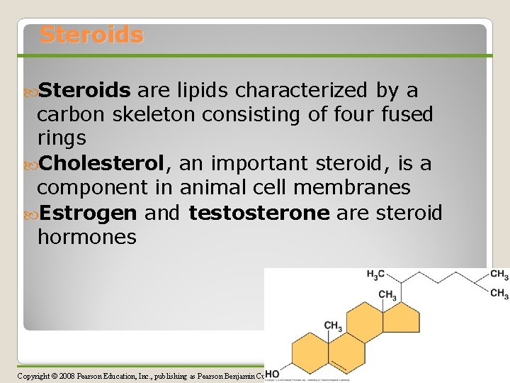 Chapter 5 The Structure and Function of Large