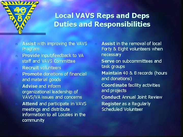 THE FORTY EIGHT VA Voluntary Service VAVS Representative