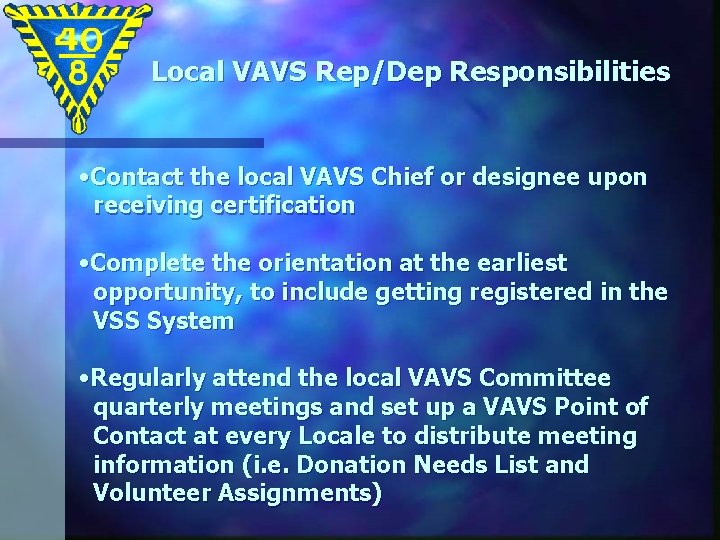 THE FORTY EIGHT VA Voluntary Service VAVS Representative
