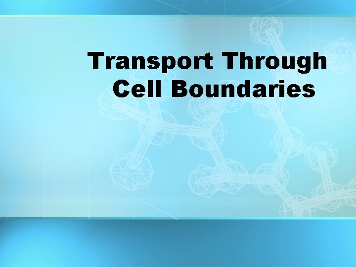 Transport Through Cell Boundaries Every living cell exists