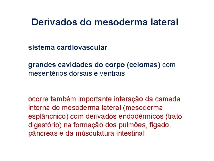 Embriologia Humana Tpico 5 diferenciao do sistema urogenital