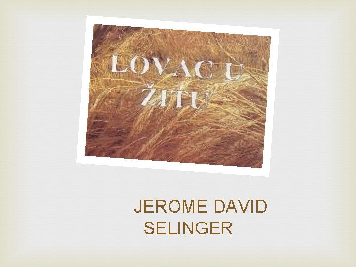 JEROME DAVID SELINGER 1919 2010 10nepoznatih injenica o