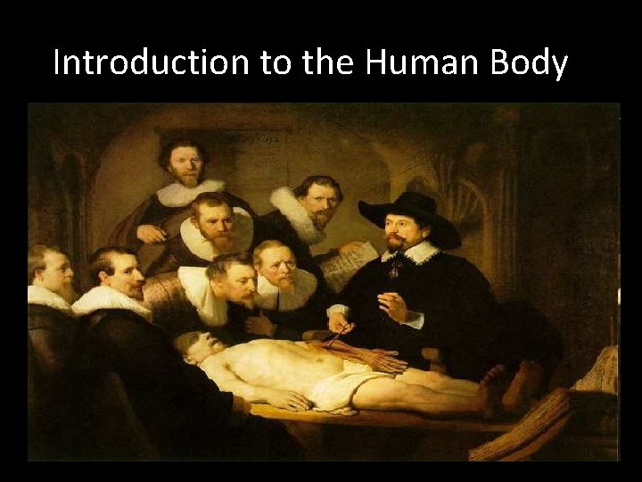 Introduction to the Human Body Earliest anatomical studies