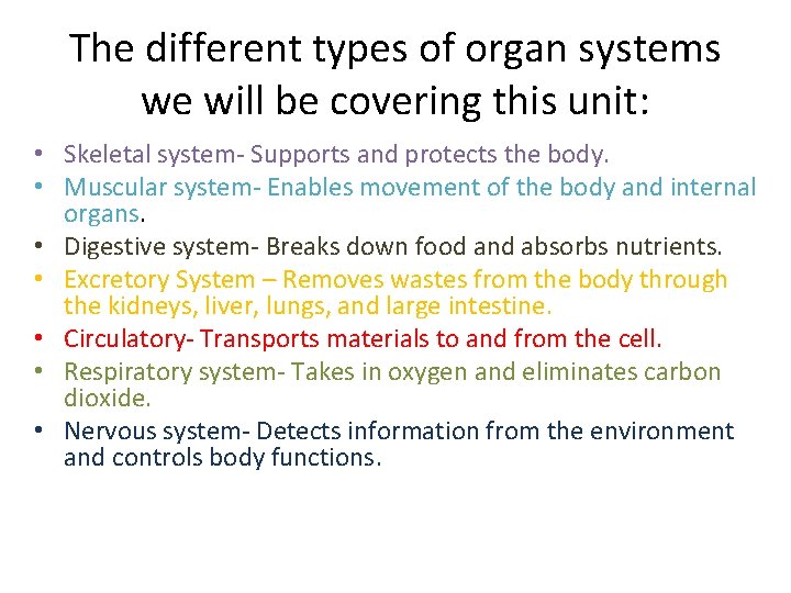 Introduction to the Human Body Earliest anatomical studies