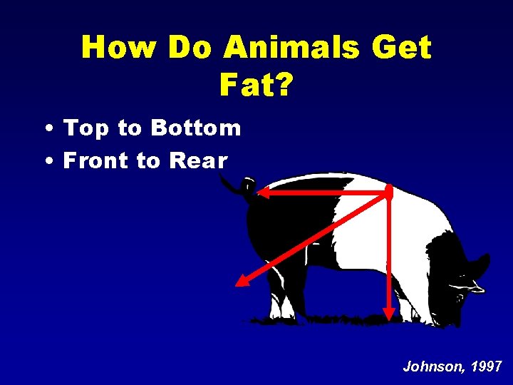 Evaluating Fat and Muscle in Livestock Developed by