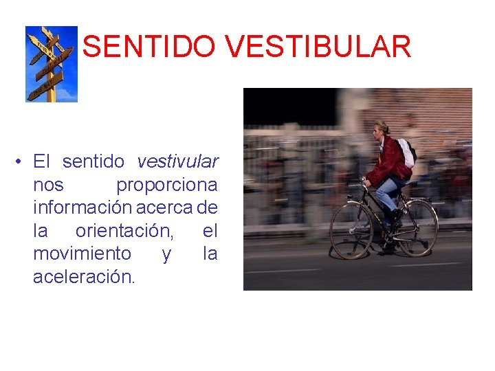 SENSOPERCEPCIN SENTIDO CINESTSICO Y VESTIBULAR 1 CUATRIMESTRE DE