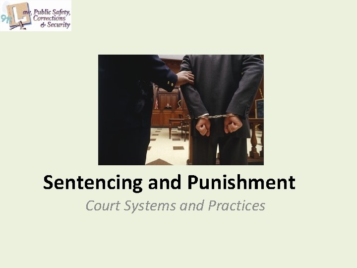 Sentencing and Punishment Court Systems and Practices Copyright
