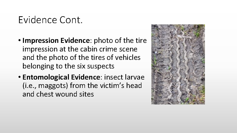 The Case of the Murdered Mayor Forensic Investigation