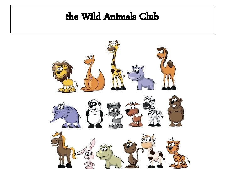 Revision the Wild Animals Club A What wild