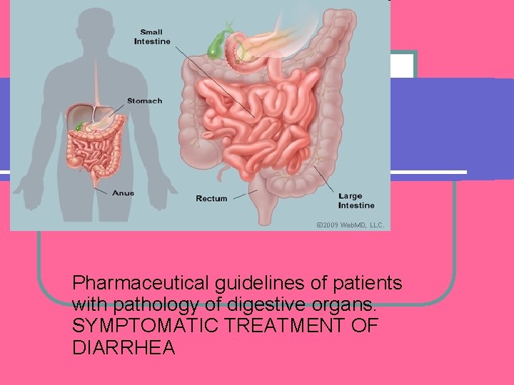 Pharmaceutical guidelines of patients with pathology of digestive