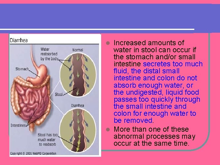 Pharmaceutical guidelines of patients with pathology of digestive
