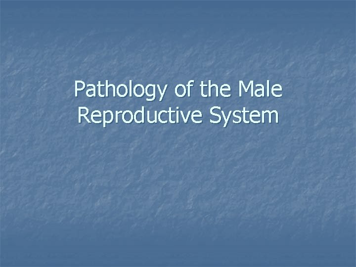 Pathology of the Male Reproductive System Testis and