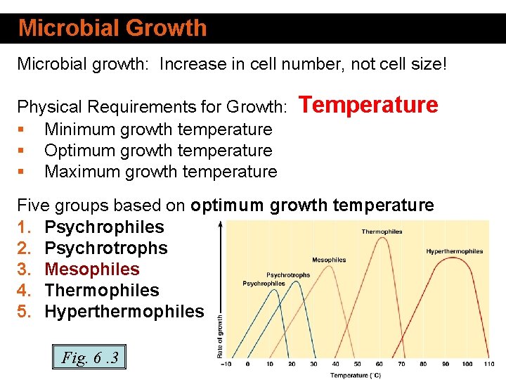 Ch 6 Microbial Growth Objectives Classify microbes into