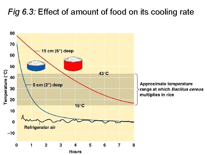 Ch 6 Microbial Growth Objectives Classify microbes into