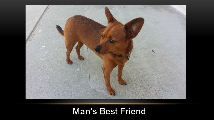 COVENANT FRIENDSHIPS Part 1 Recommitting to a Covenant