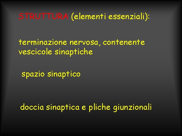 Trasmissione sinaptica Si chiamano SINAPSI i punti di