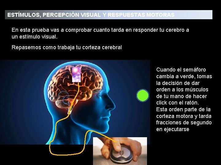 ESTMULOS PERCEPCIN VISUAL Y RESPUESTAS MOTORAS TEST DE