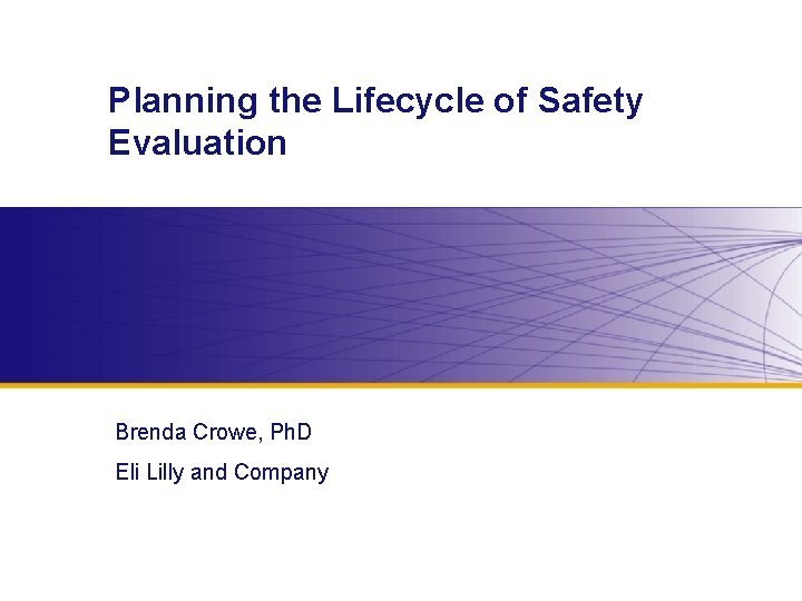 Planning the Lifecycle of Safety Evaluation Brenda Crowe