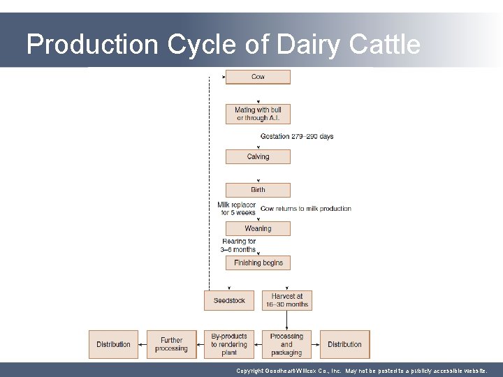 Lesson 10 2 Dairy Industry Lesson Outcomes Understand