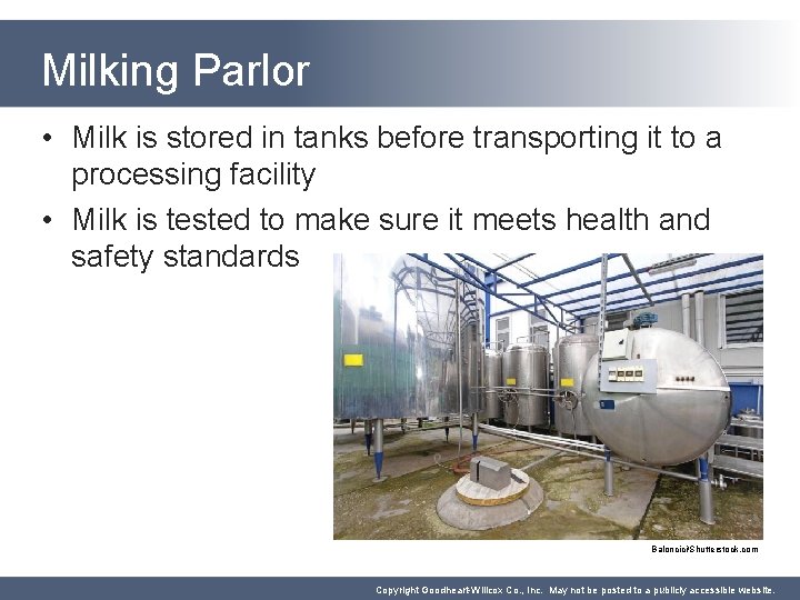 Lesson 10 2 Dairy Industry Lesson Outcomes Understand