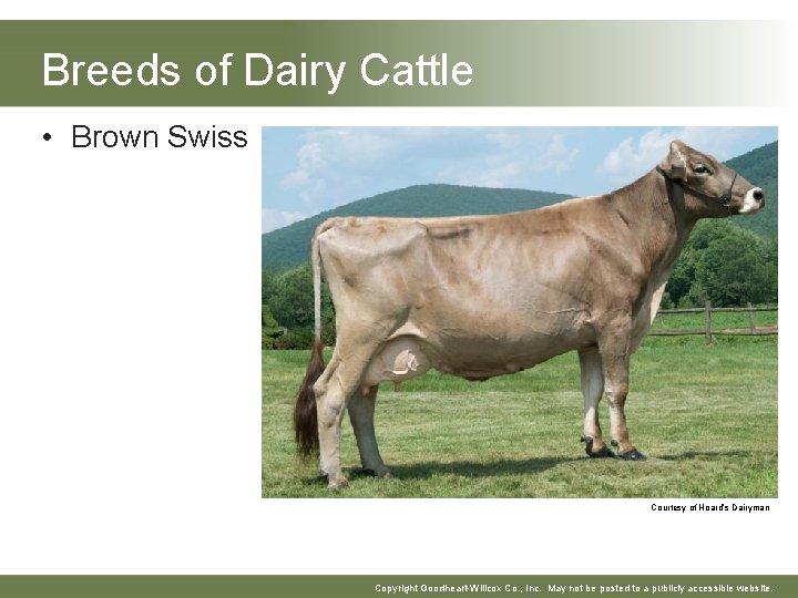 Lesson 10 2 Dairy Industry Lesson Outcomes Understand