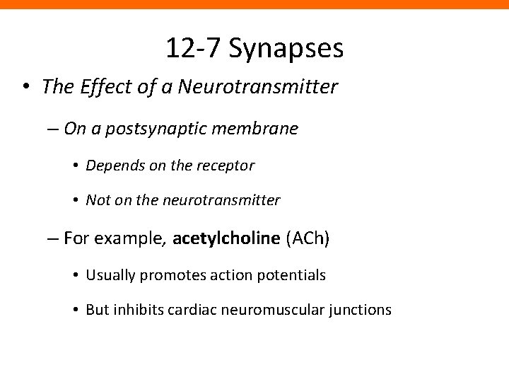 12 7 Synapses Synaptic Activity Action potentials nerve