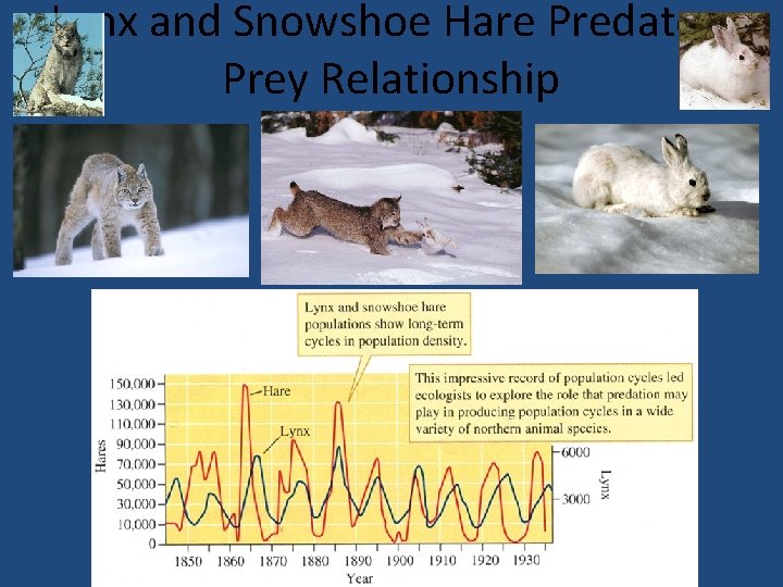 Chapter 4 Ecosystems Communities Section 4 1 The