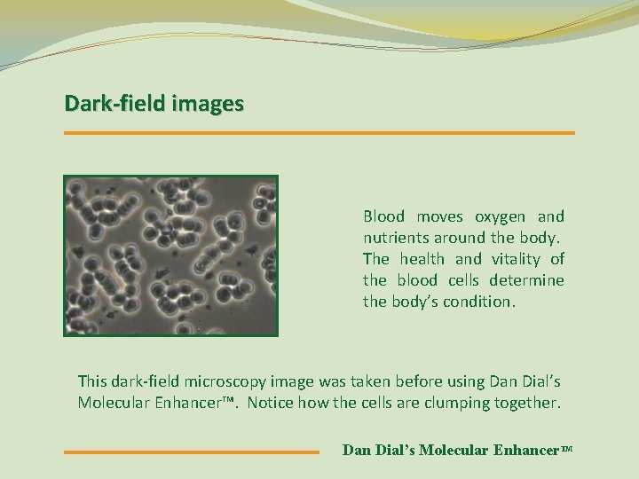 Exploring the science behind TM Dan Dials Molecular