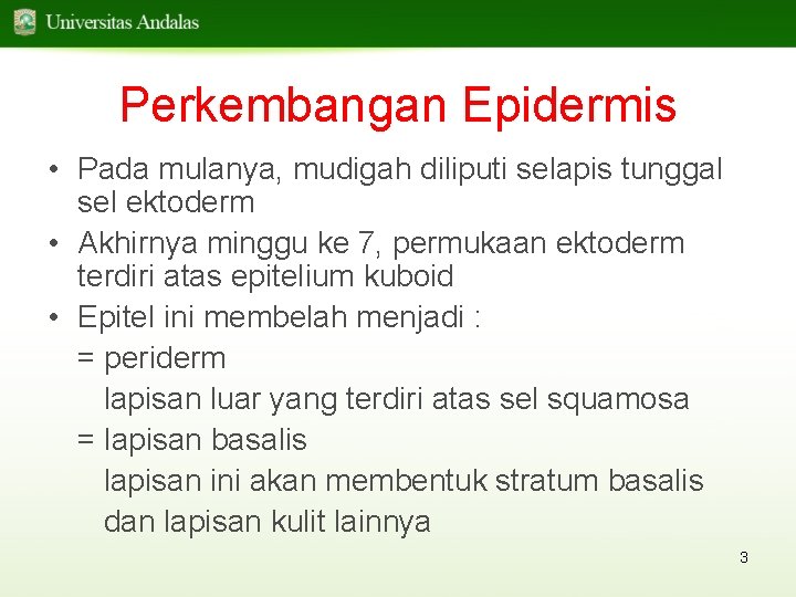 EMBRIOLOGI SUSUNAN KULIT Prof DR dr Hj Yanwirasti
