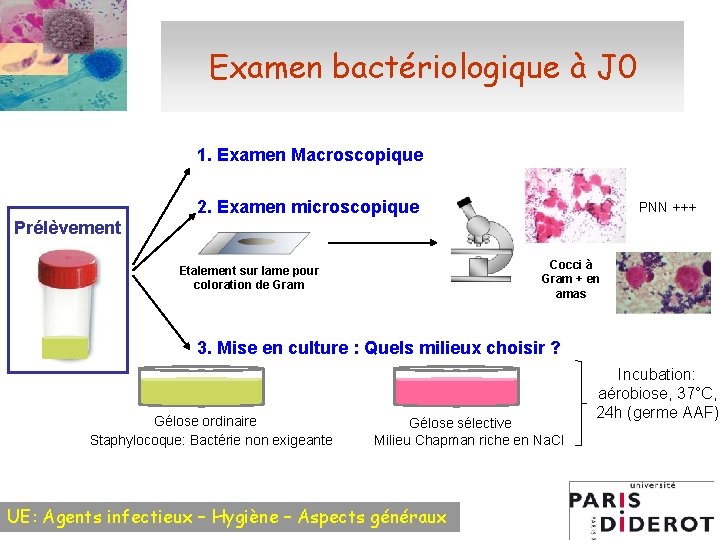 UE Agents infectieux Hygine Aspects gnraux ED N