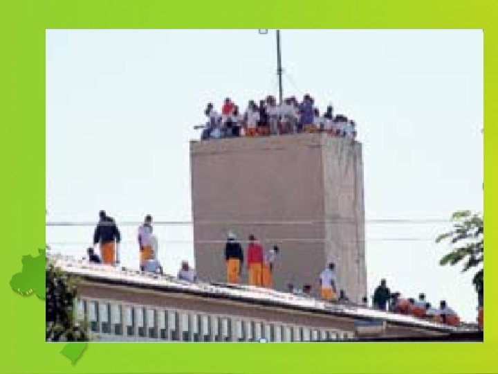 Gangs of Rio 6 000 gang member living