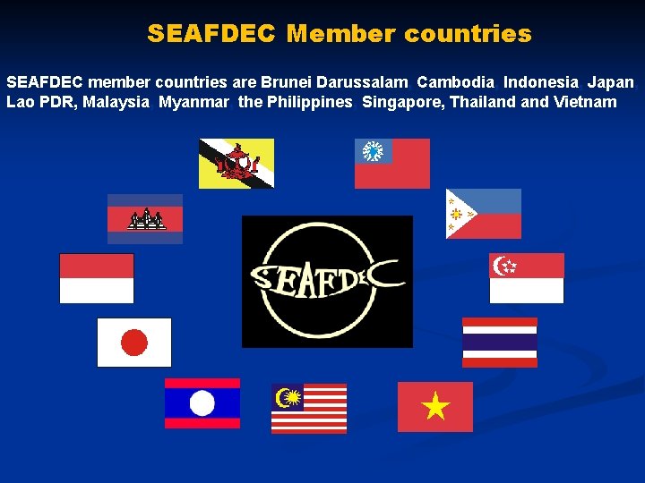 Overview of the status and understanding of bycatch