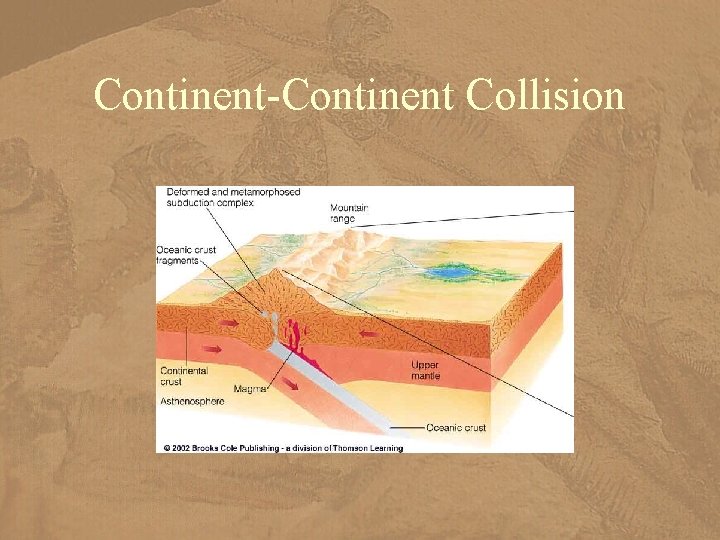 Chapter 3 Plate Tectonics a Unifying Theory Discovering
