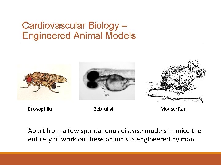 Leveraging natural disease models to understand human disease