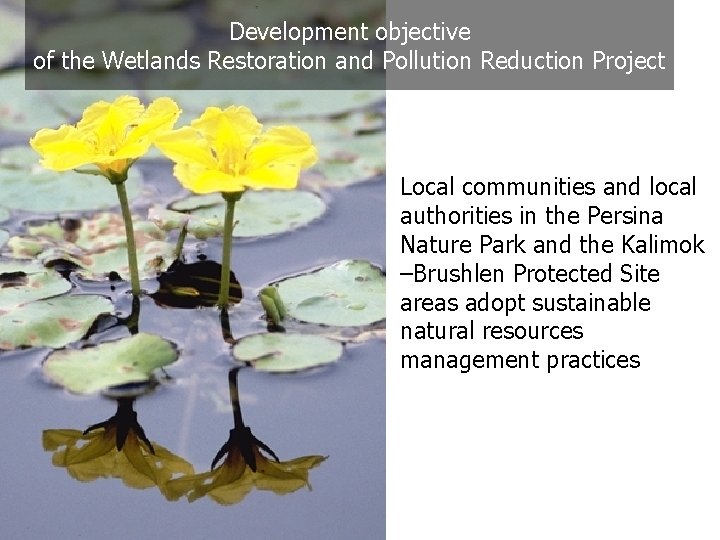 Wetlands Restoration and Pollution Reduction Project GEF TF