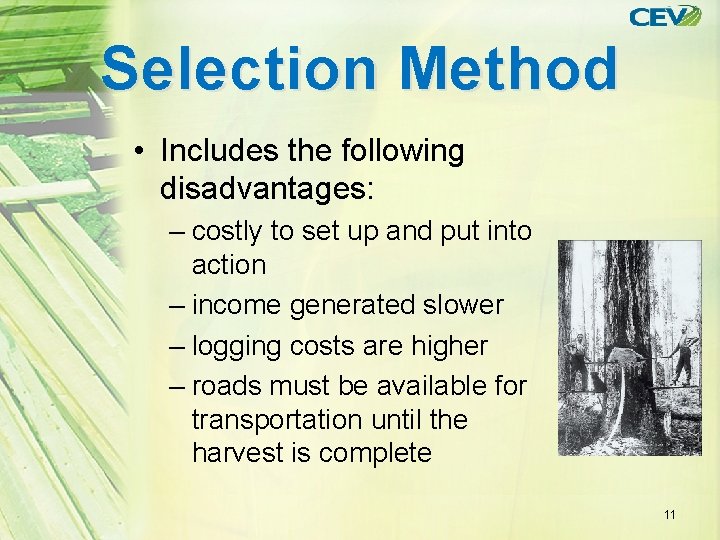 Harvesting Timber 1 Objectives 1 To define terms