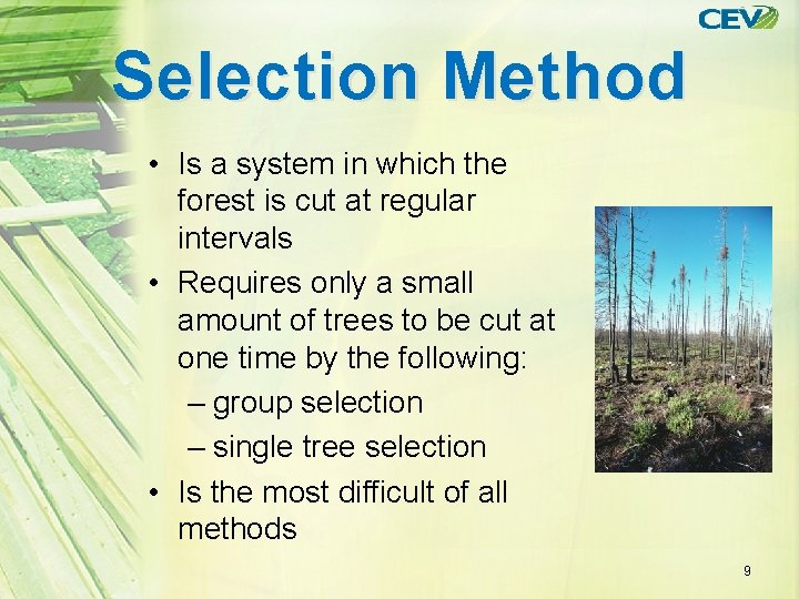 Harvesting Timber 1 Objectives 1 To define terms