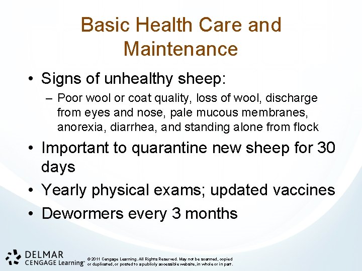 Chapter 22 Sheep Breed Identification and Production Management