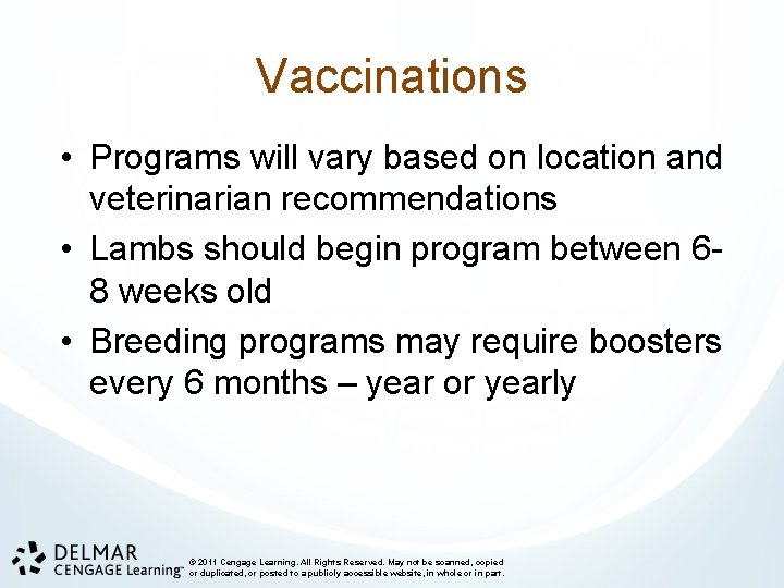 Chapter 22 Sheep Breed Identification and Production Management