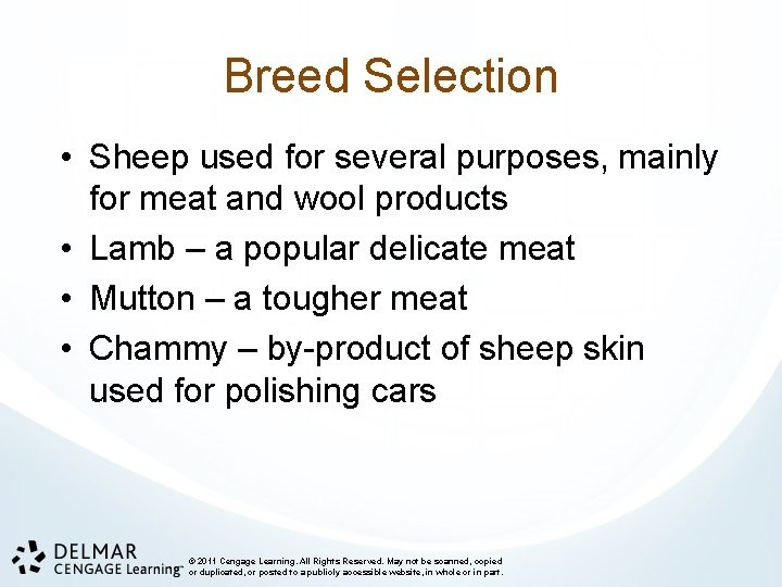 Chapter 22 Sheep Breed Identification and Production Management